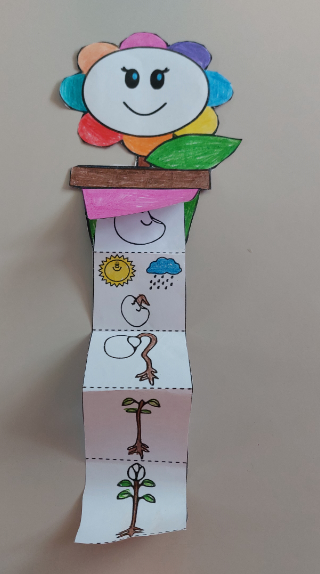 Ο κύκλος ζωής... - Love Teaching